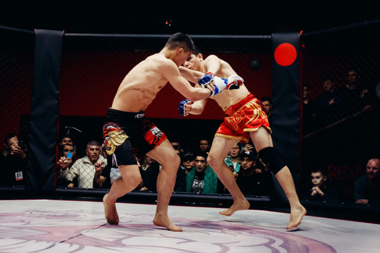 Iron Mann MMA – Professional MMA Training